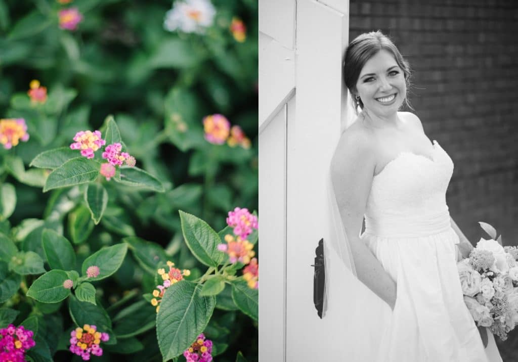 Blog and Recent Work - Britt Croft Photography