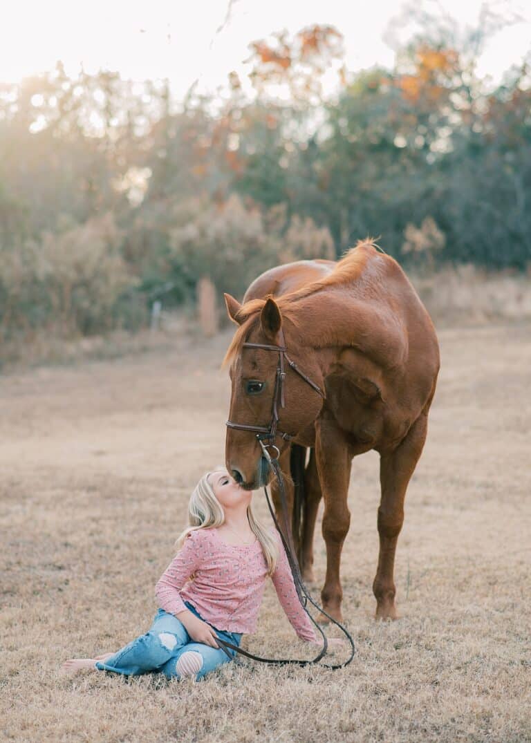 South Carolina Equine Photographer - Horse & Rider Portraits